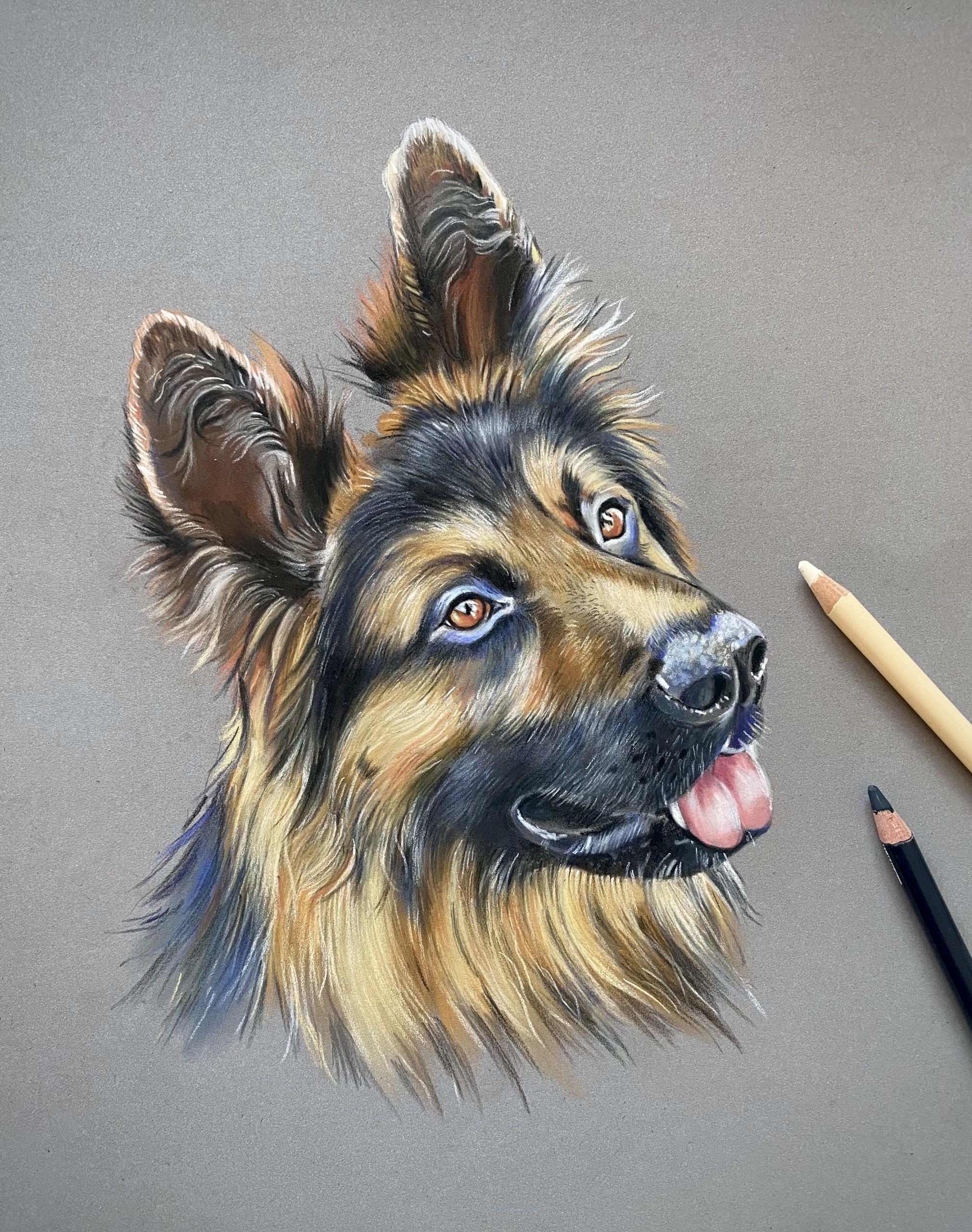 Pet Portraits - Debbie Sanderson Art