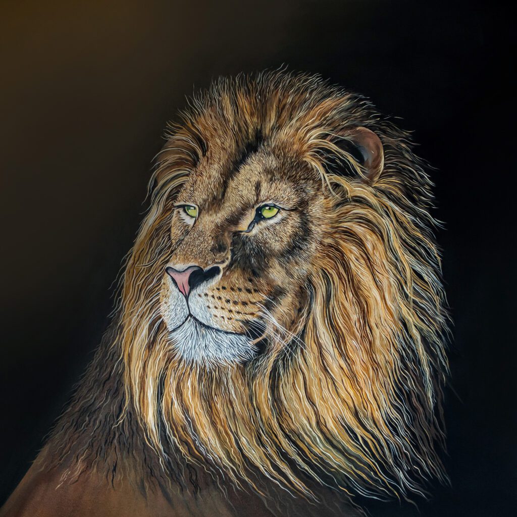 Shop - Debbie Sanderson Art